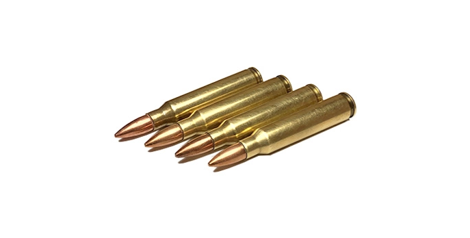 223 Remington brass reloading service